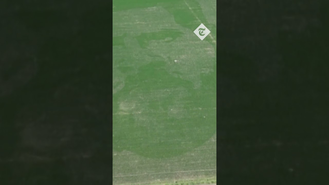 Lionel Messi's image grown in Argentinian corn field - The Global Herald