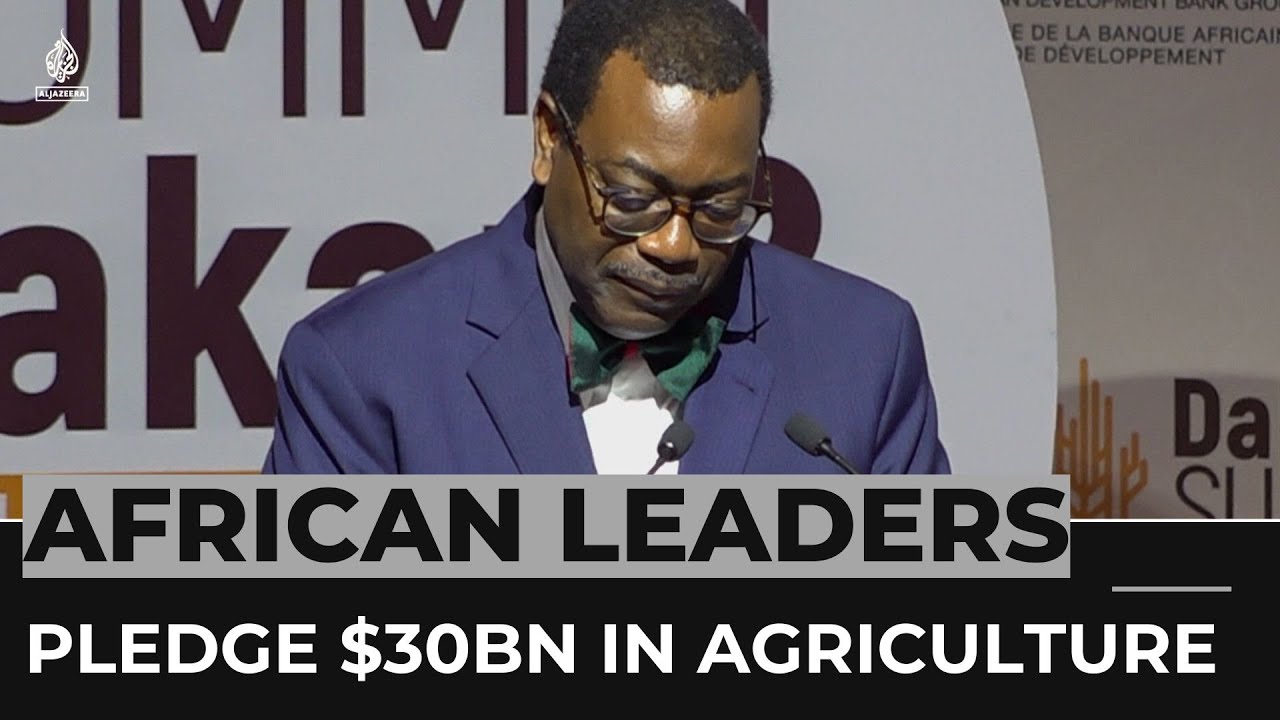 African leaders pledge $30bn in agriculture to tackle hunger crisis ...