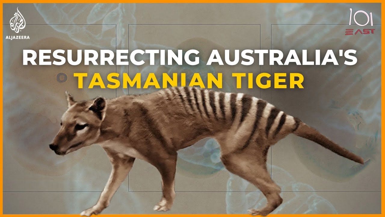 Back to life: Inside the ambitious project to resurrect Australia’s ...