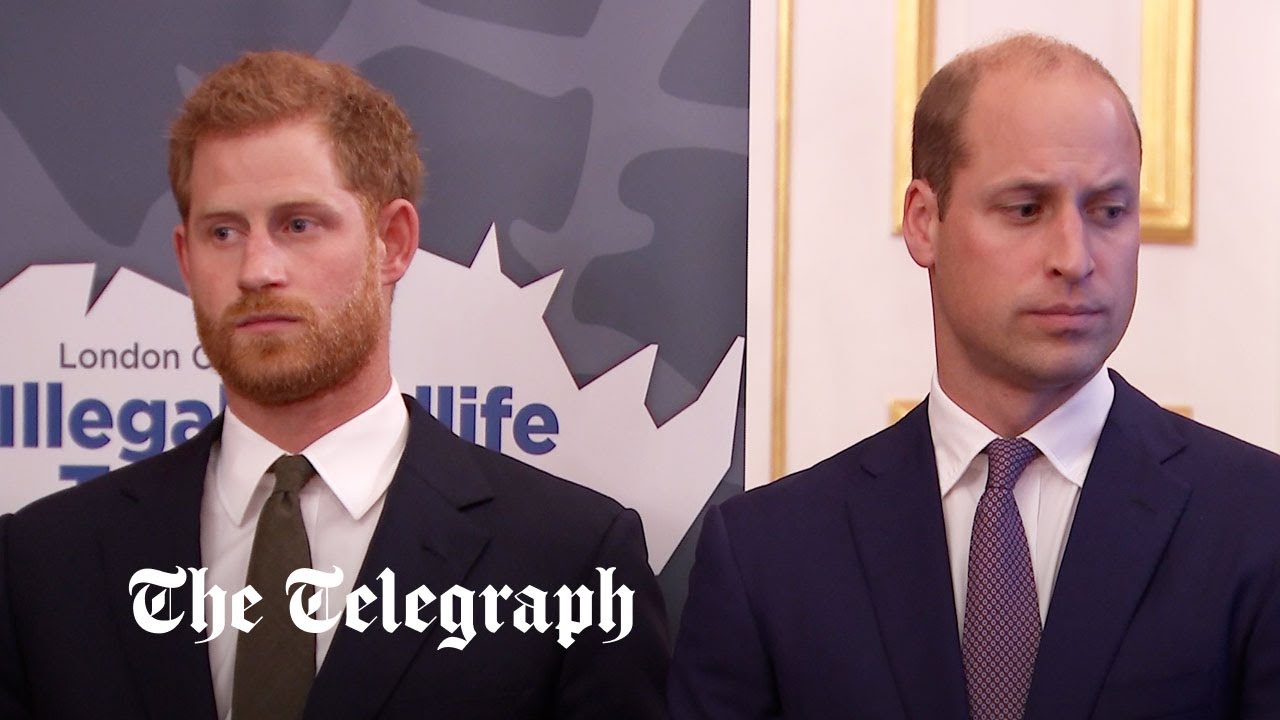 What lead to Prince William's 'physical attack' on Prince Harry ...