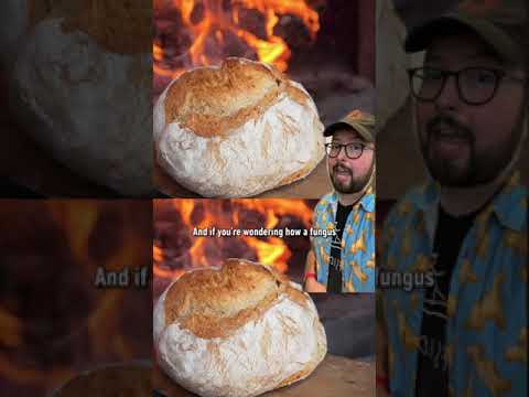 The Last of Us Bread Theory #thelastofus #tlou #thelastofushbo - The ...