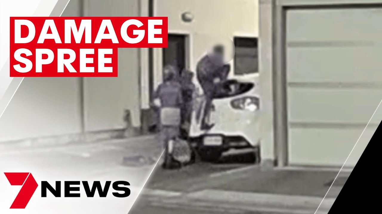Three young boys caught after alleged Adelaide CBD crime spree | 7NEWS ...