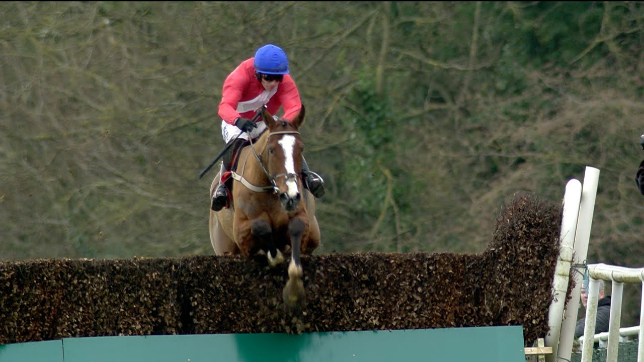 SIR GERHARD survives early scare to make a victorious return at Gowran ...