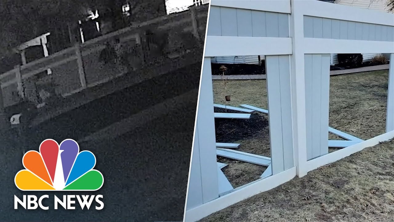 Watch: Video shows kids breakthrough fences in New York for 'Kool-Aid ...
