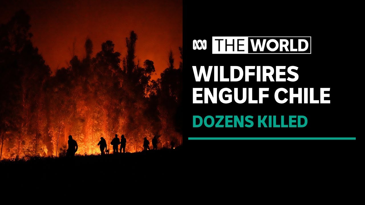 Dozens dead in Chile as wildfires spread, residents flee for safety ...