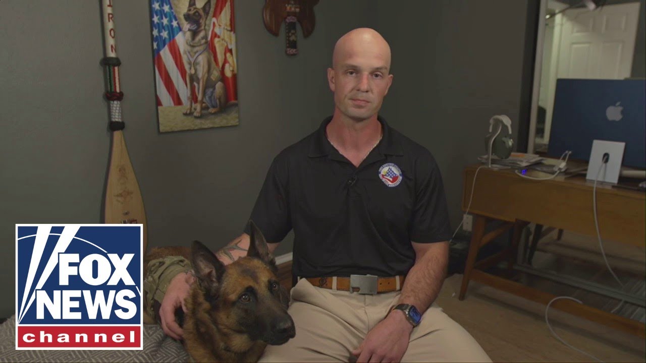 Retired Marine dog honored for combat heroism - The Global Herald