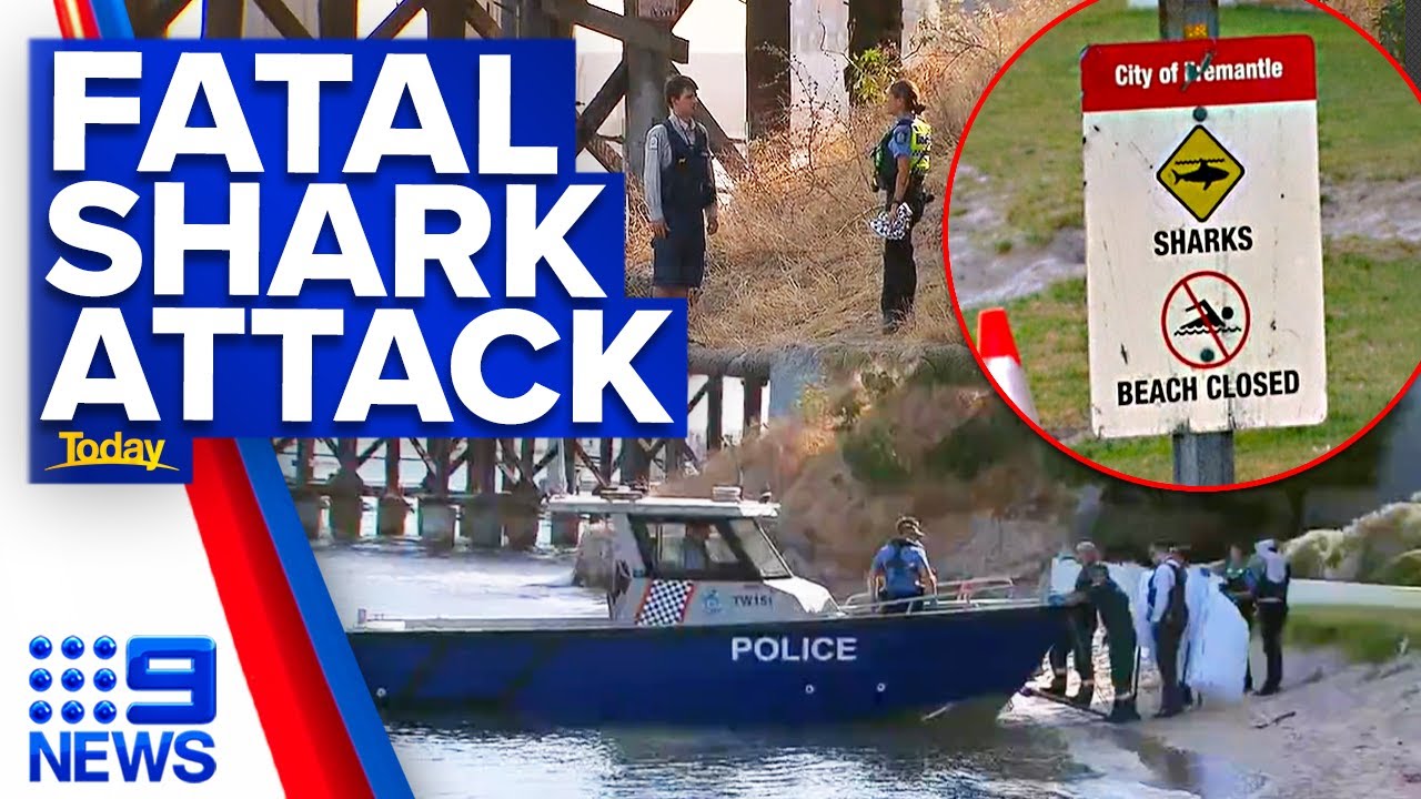 Teen girl dies in fatal shark attack in Perth river | 9 News Australia ...