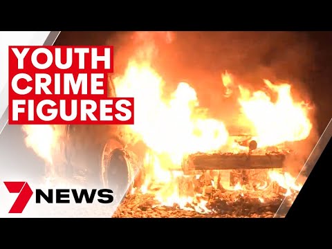 Queensland confirmed as Australia's car theft capital after alarming ...