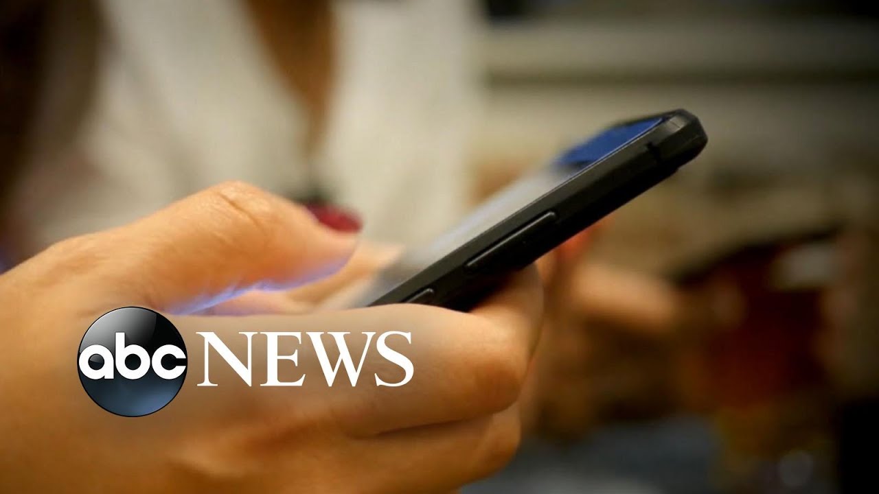 Gif Popularity Explored The Global Herald