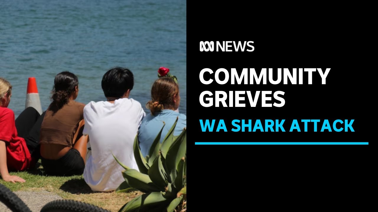 Tributes for teenage victim of Perth shark attack | ABC News - The ...