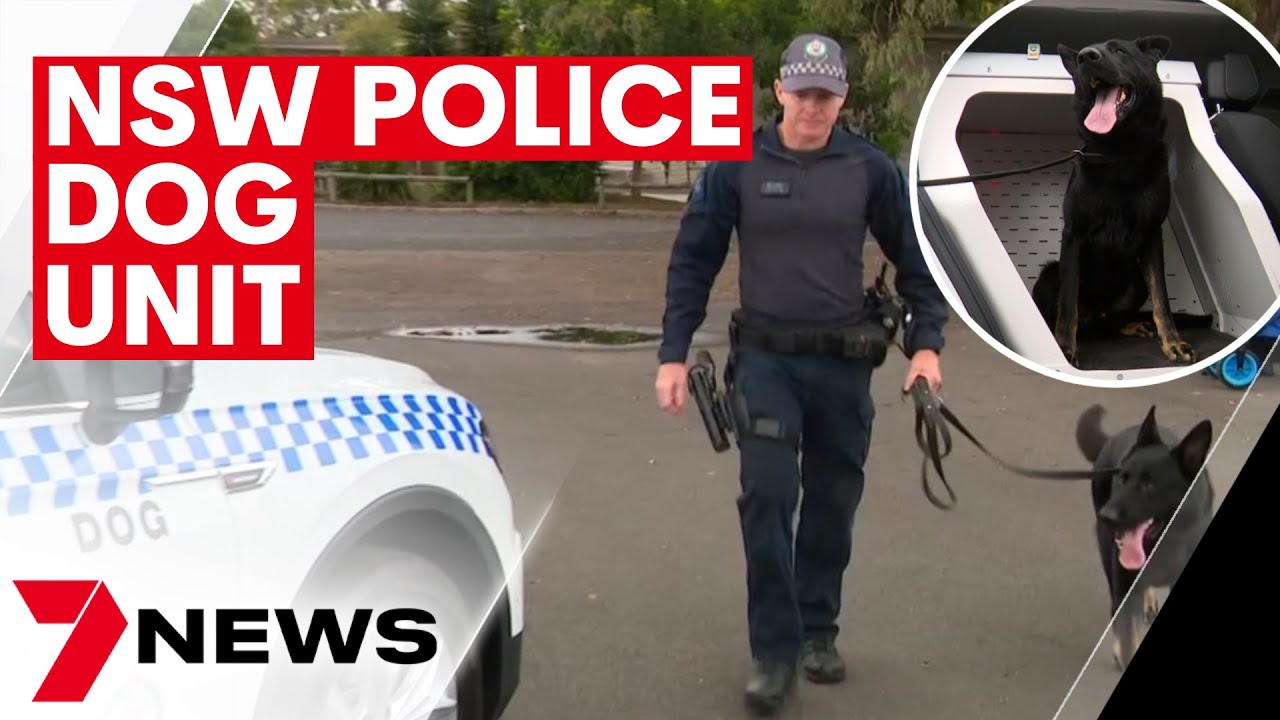 The NSW Police dog squad reveal their new vehicles | 7NEWS - The Global ...