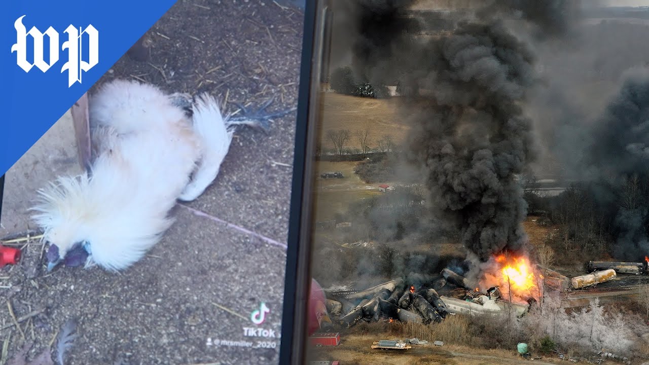 Residents report animals dying in East Palestine after train derailment ...