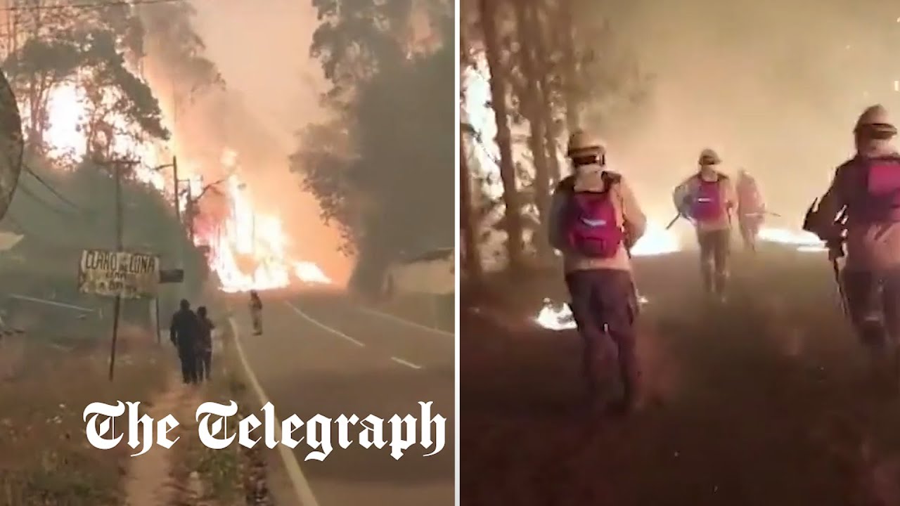 Wildfires blaze across Chile, claiming lives and homes - The Global Herald