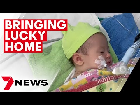 Baby Lucky almost home on Bali to Brisbane flight | 7NEWS - The Global ...