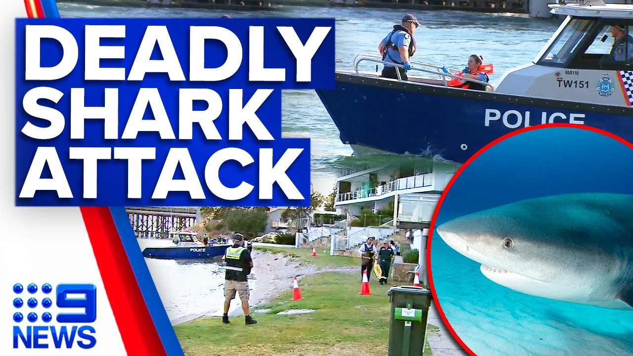 Teenage victim of fatal shark attack identified as locals warned to ...