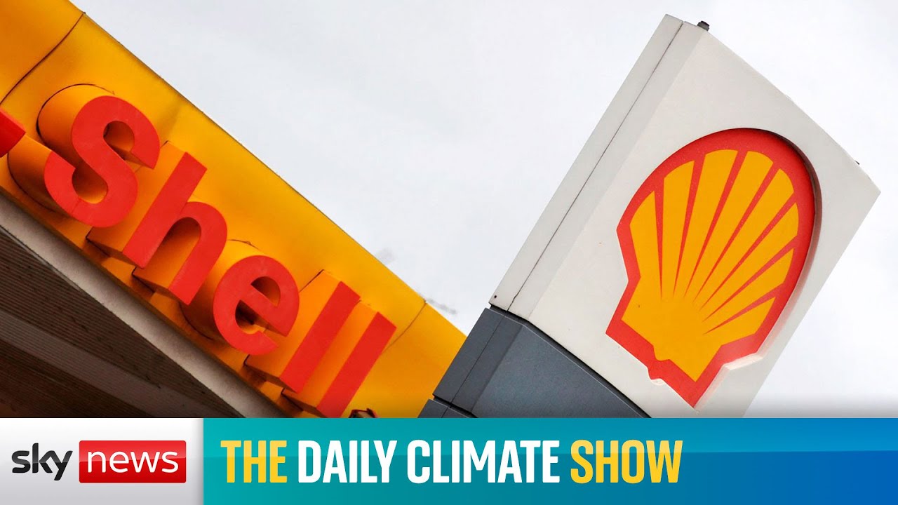 The Daily Climate Show: Outrage at Shell's record profits - The Global ...