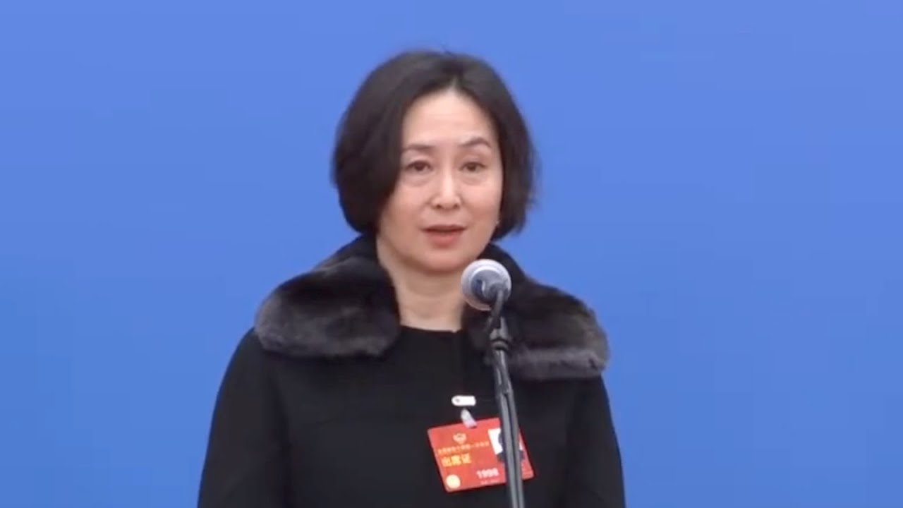 Pansy Ho Chiu-king: opportunities of Greater Bay Area to help national ...