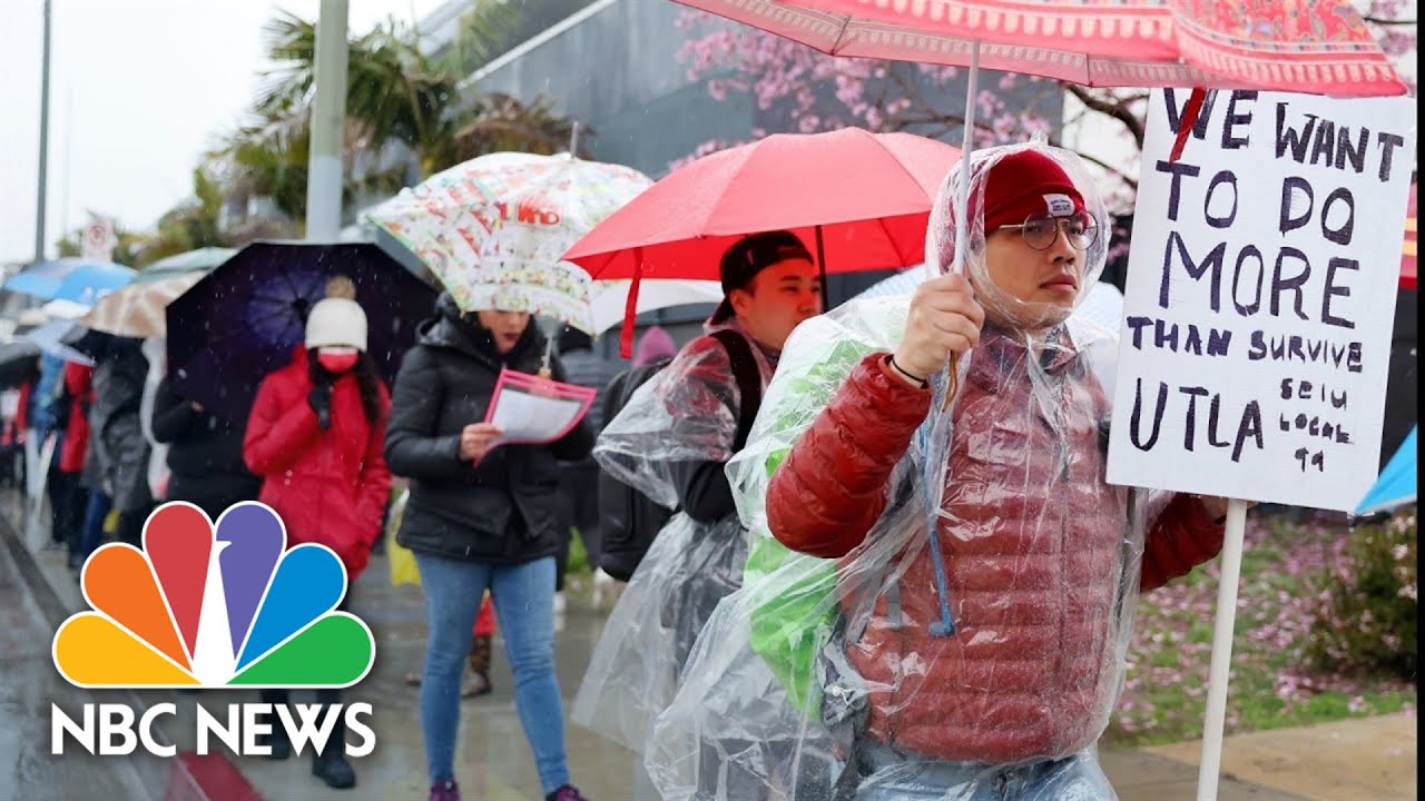 Los Angeles schools close over employee strike - The Global Herald