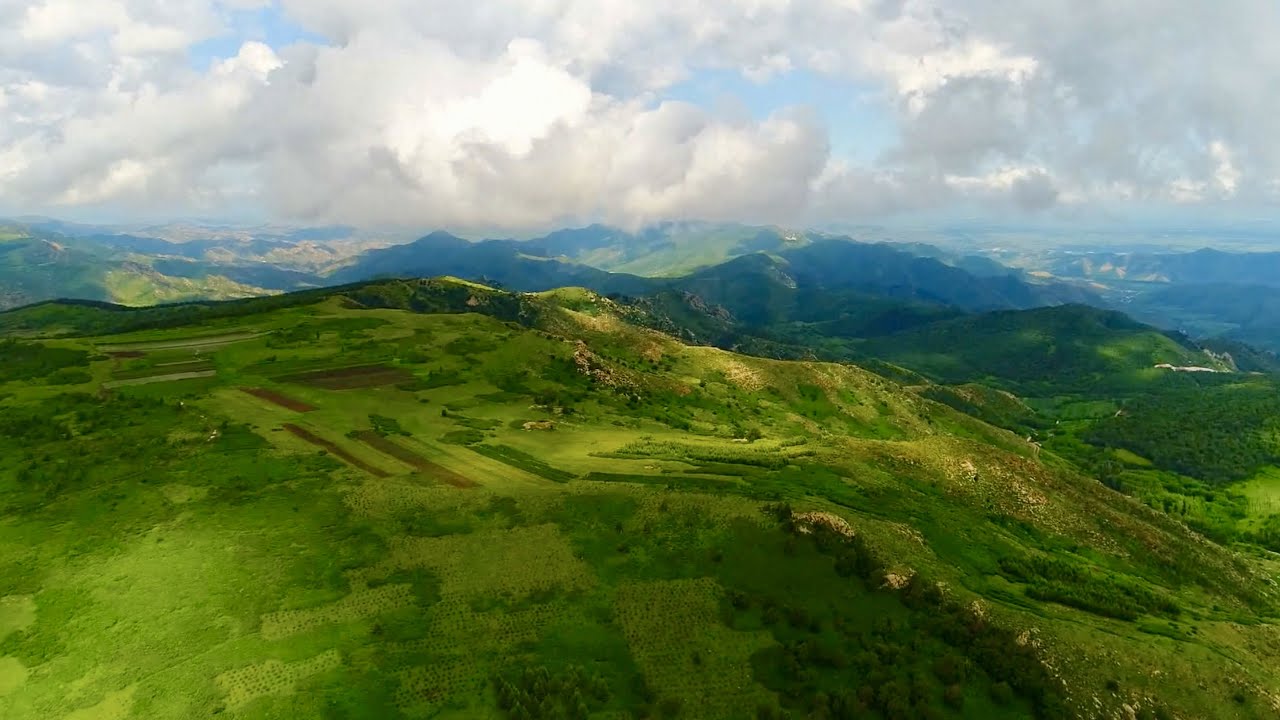 China afforested 3.83 million hectares of land in 2022: report - The ...