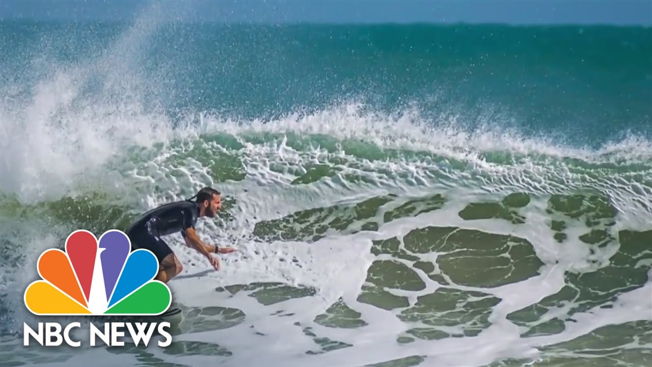 Florida surfer recounts frightening shark bite - The Global Herald
