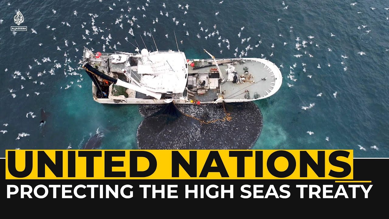 Protecting the high seas treaty: UN negotiations in final stages - The ...