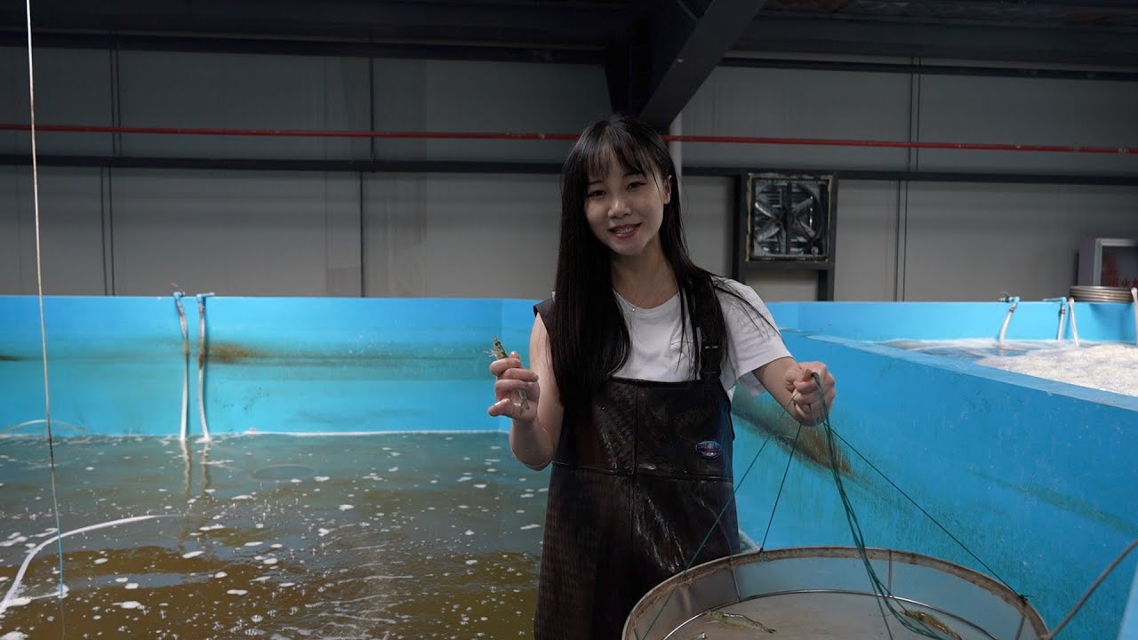 Larger-scale seafood farms heading indoors and inland - The Global Herald Larger-scale seafood farms heading indoors and inland - The Global Herald