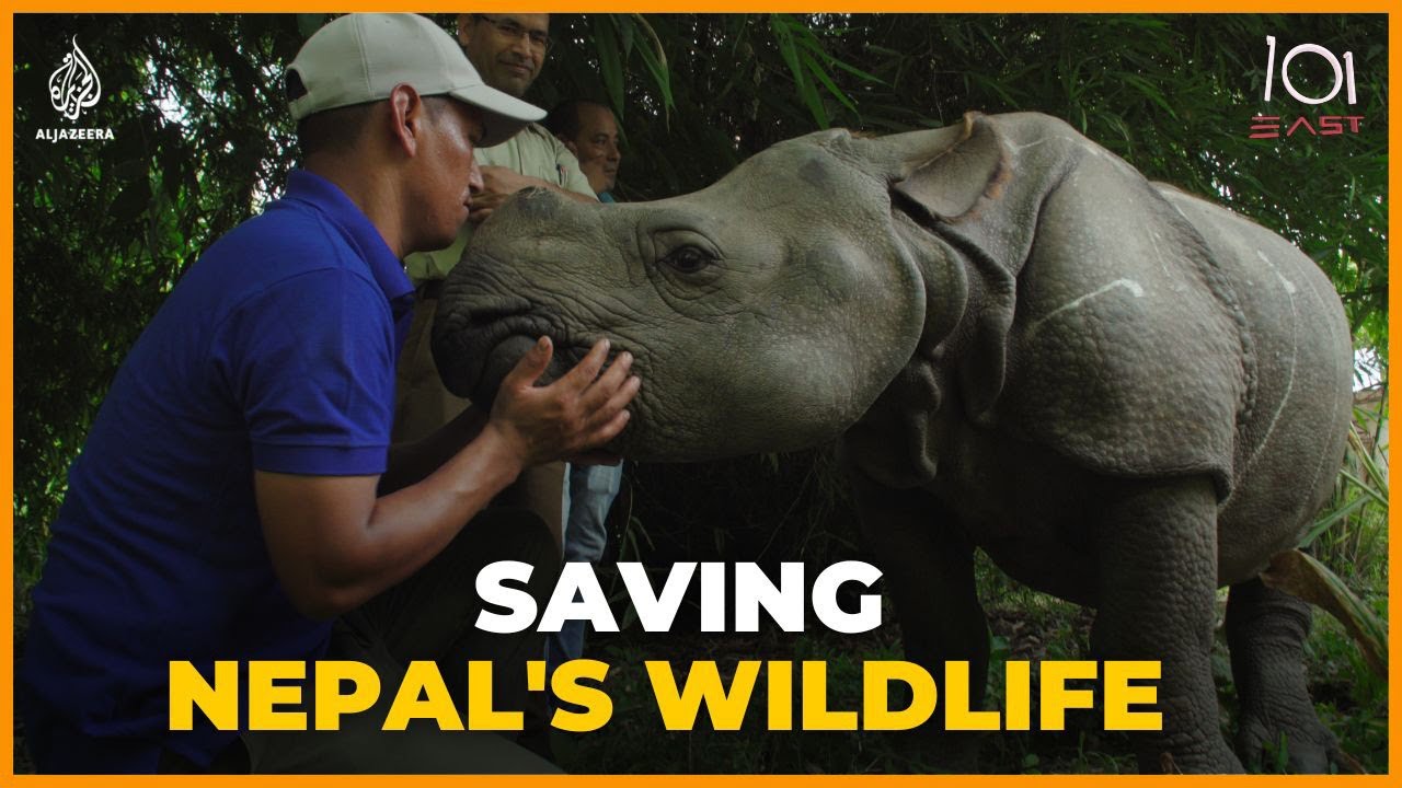 The real story behind Nepal’s wildlife conservation success | 101 East ...