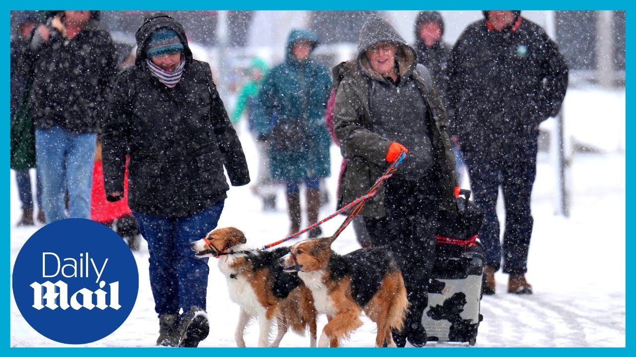 Extreme weather: Snowstorms to hit UK after coldest night of the year ...