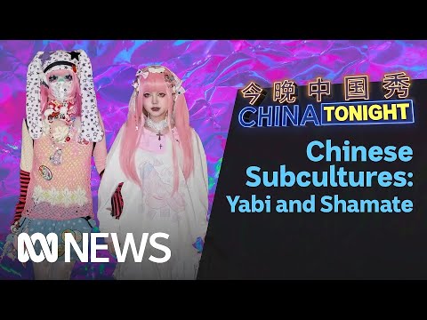 A look at Chinese subcultures: Yabi and Shamate | China Tonight | ABC ...