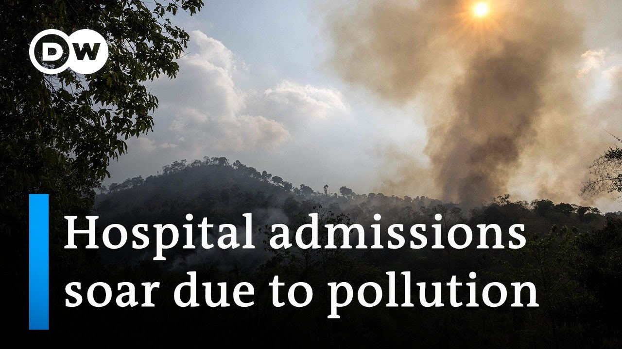Major forest fires in Thailand worsen smog struggles | DW News - The ...