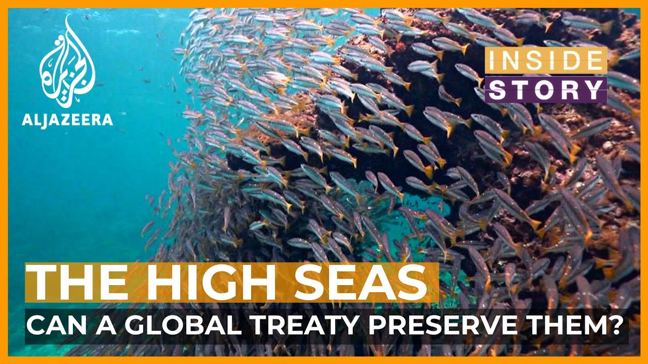 How to protect the high seas? | Inside Story - The Global Herald