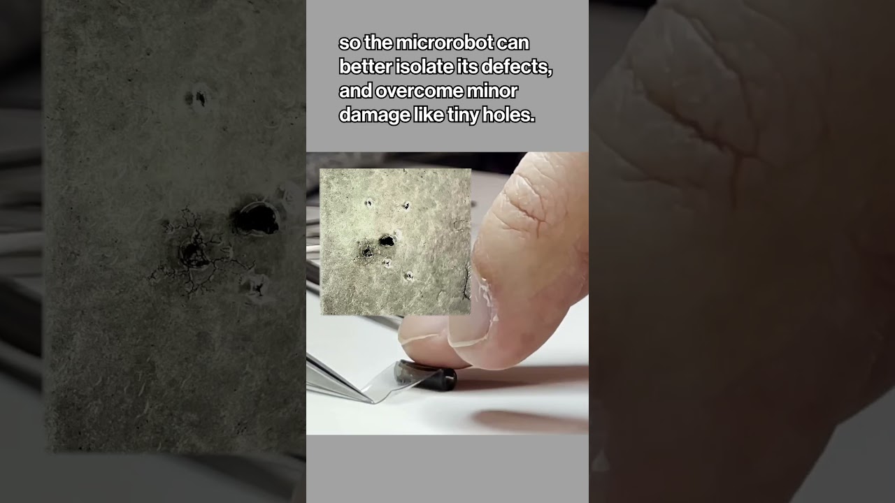 Bug-sized robot recovery - The Global Herald