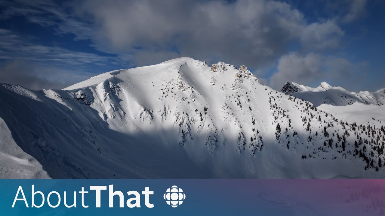 Why is this avalanche season so deadly in B.C.? | About That - The ...