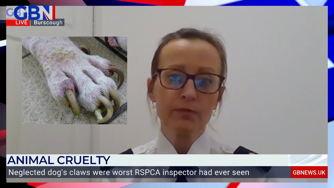 Neglected dogs claws in the worst condition RSPCA Inspector has ever ...