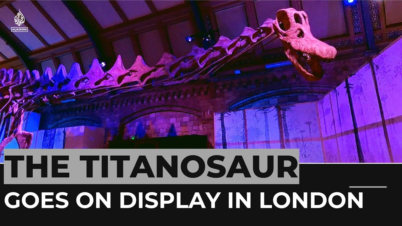 Titanosaur: World’s biggest-ever dinosaur goes on display in London ...