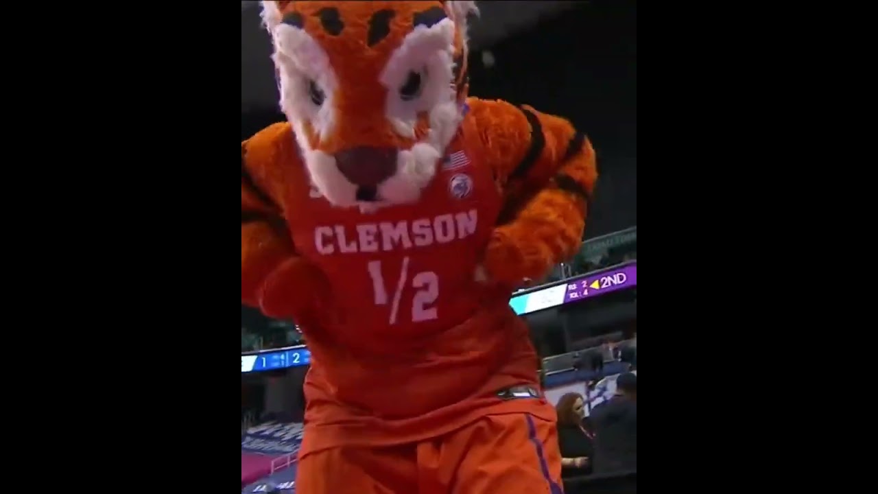 Former Clemson Tiger Cub mascot Holland Mickle stepped in after the ...
