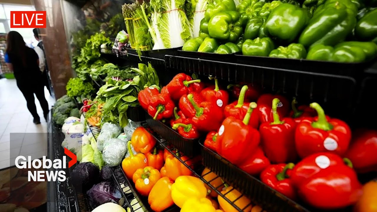 Heads of Canada's largest grocers questioned on soaring cost of food ...