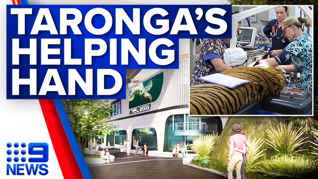 New animal hospital set to open at Taronga Zoo by 2025 | 9 News ...