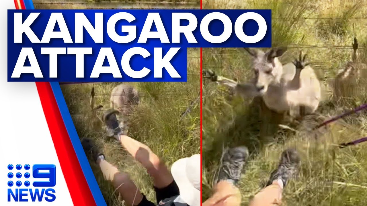 Woman’s warning after being viciously attacked by a kangaroo | 9 News Australia - The Global Herald