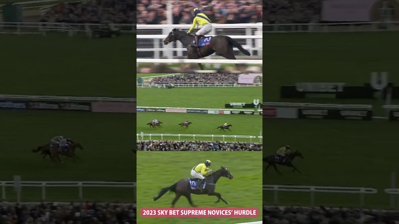 MARINE NATIONALE WINS THE SKY BET SUPREME NOVICES' HURDLE - Racing TV ...