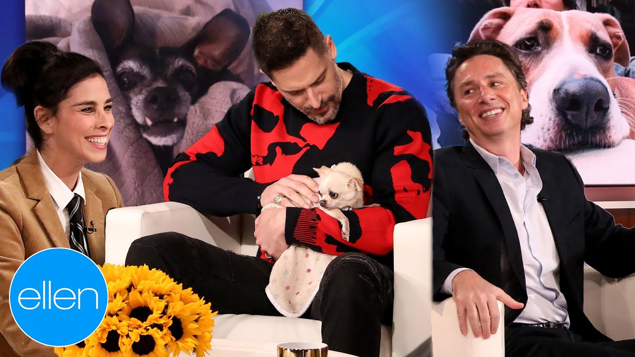 Celebrities Talking About Their Dogs for 8 Minutes Straight on The ...