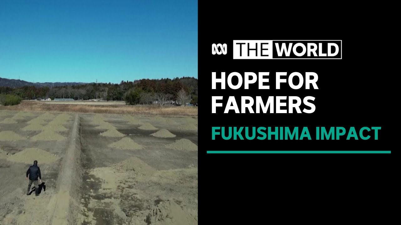 Fukushima farmers hope new technologies will help with recovery after ...