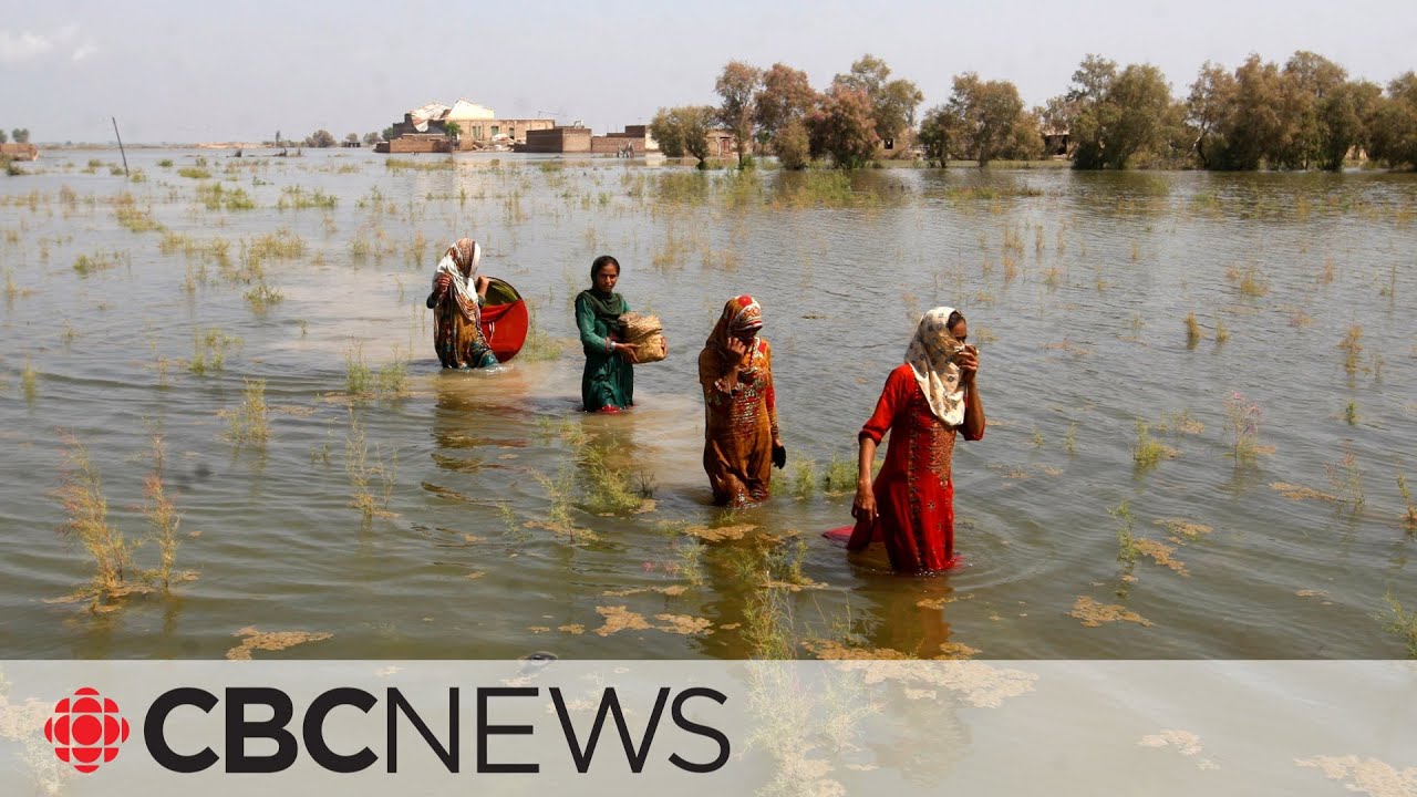 UN report delivers stark warnings on human impact on environment - The ...