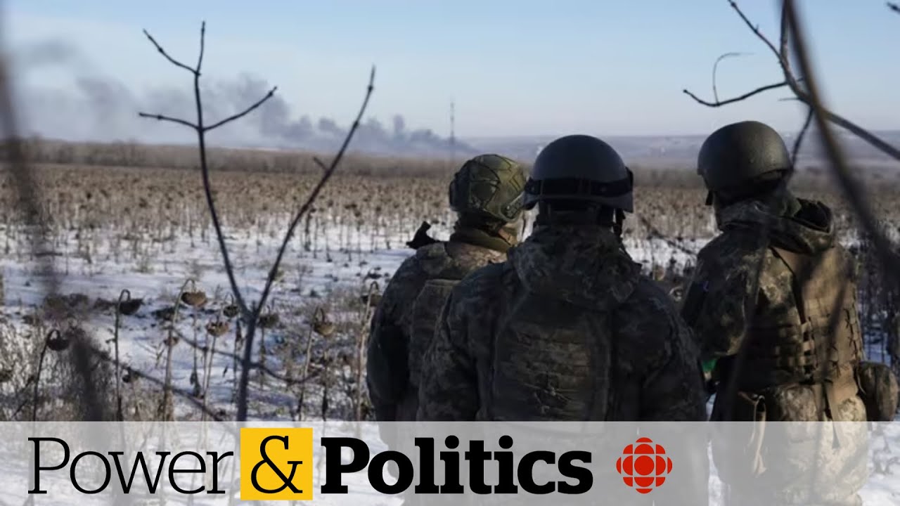 Canadian-purchased air defence missiles en route to Ukraine - The ...