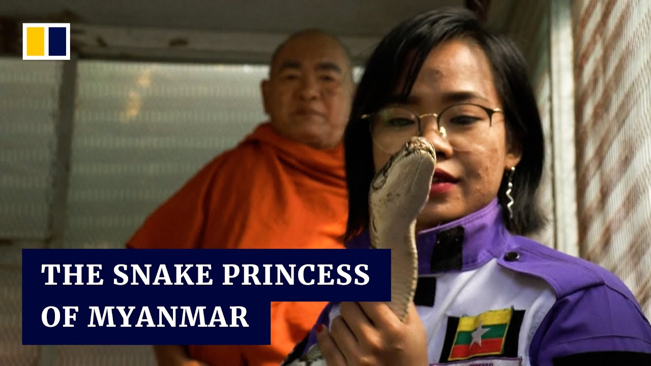 Myanmar’s ‘Snake Princess’ hopes to wrangle and dispel reptile fears ...