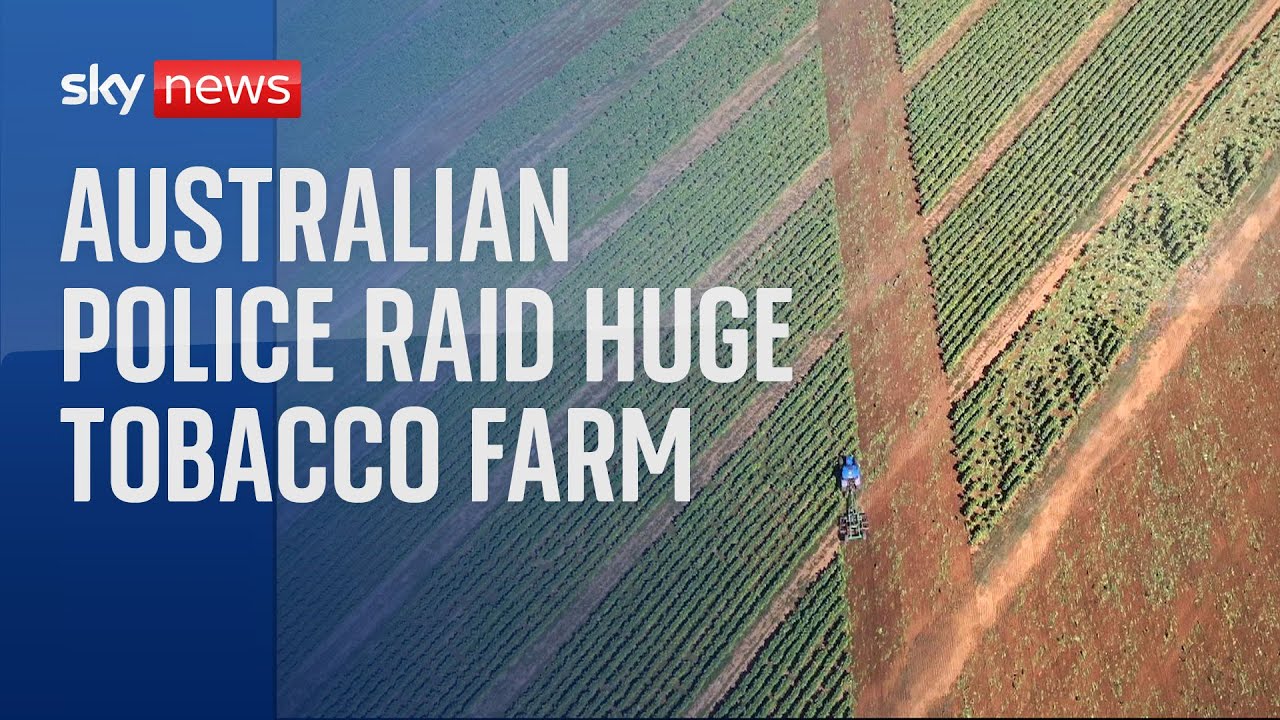 Australian police raid huge illegal tobacco farm - The Global Herald