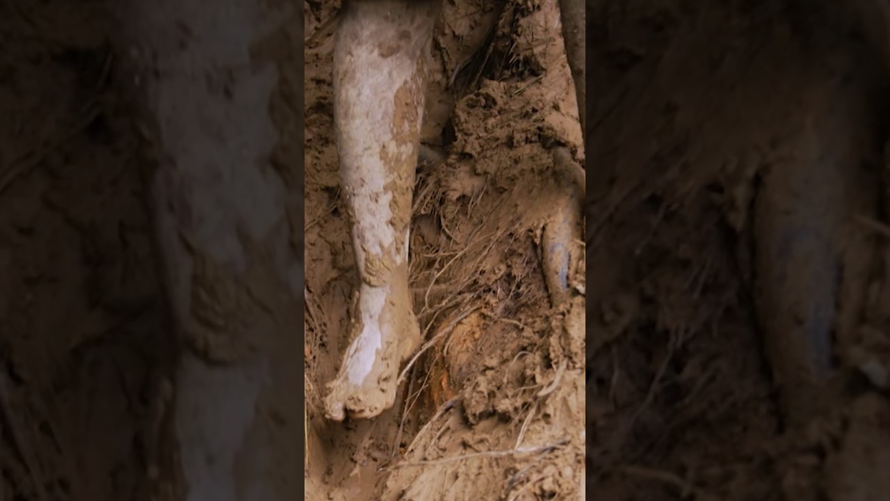 One wrong step in this mud could be deadly - The Global Herald