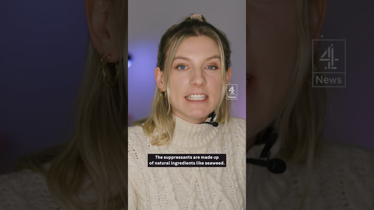 Could reducing the amount of methane in cow farts help save the planet ...