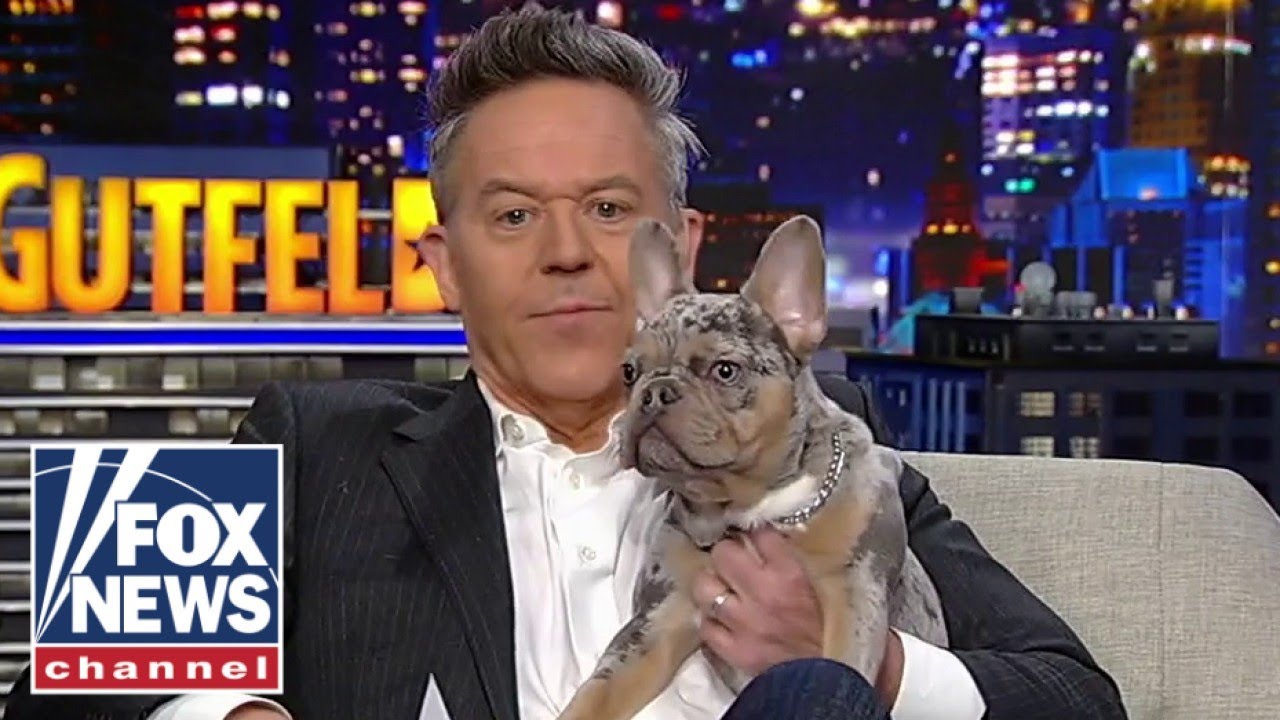 ‘Gutfeld!’: Can GOP candidates pass ‘The Gus Test’? - The Global Herald