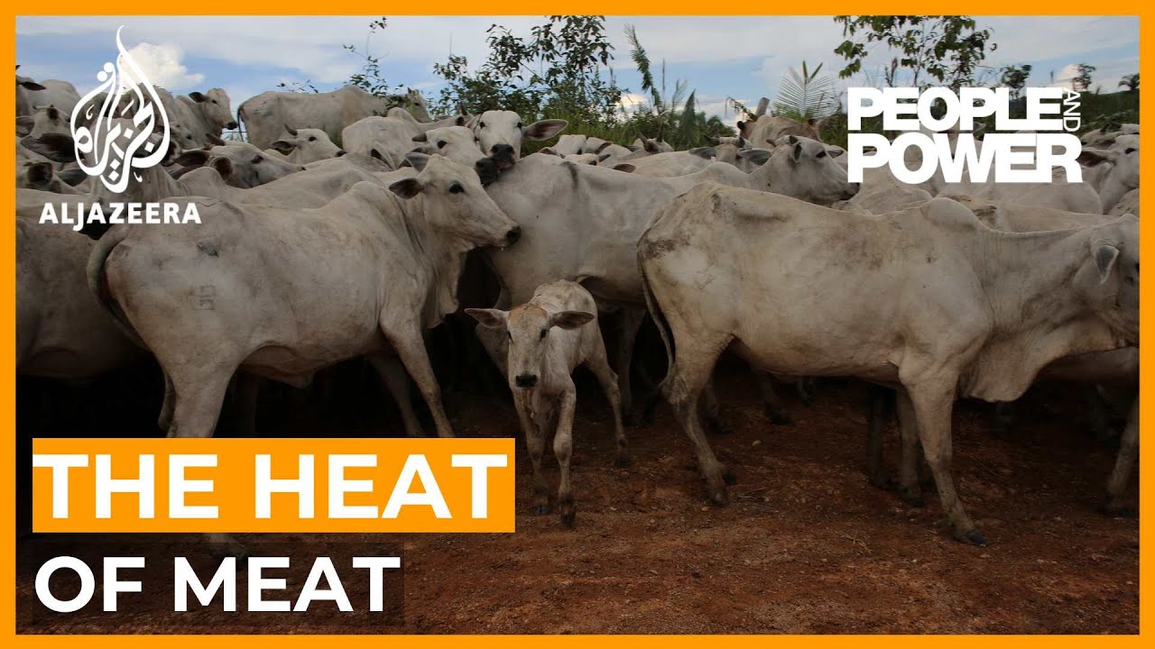The Heat of Meat: Brazil’s beef industry and global warming | 101 East ...